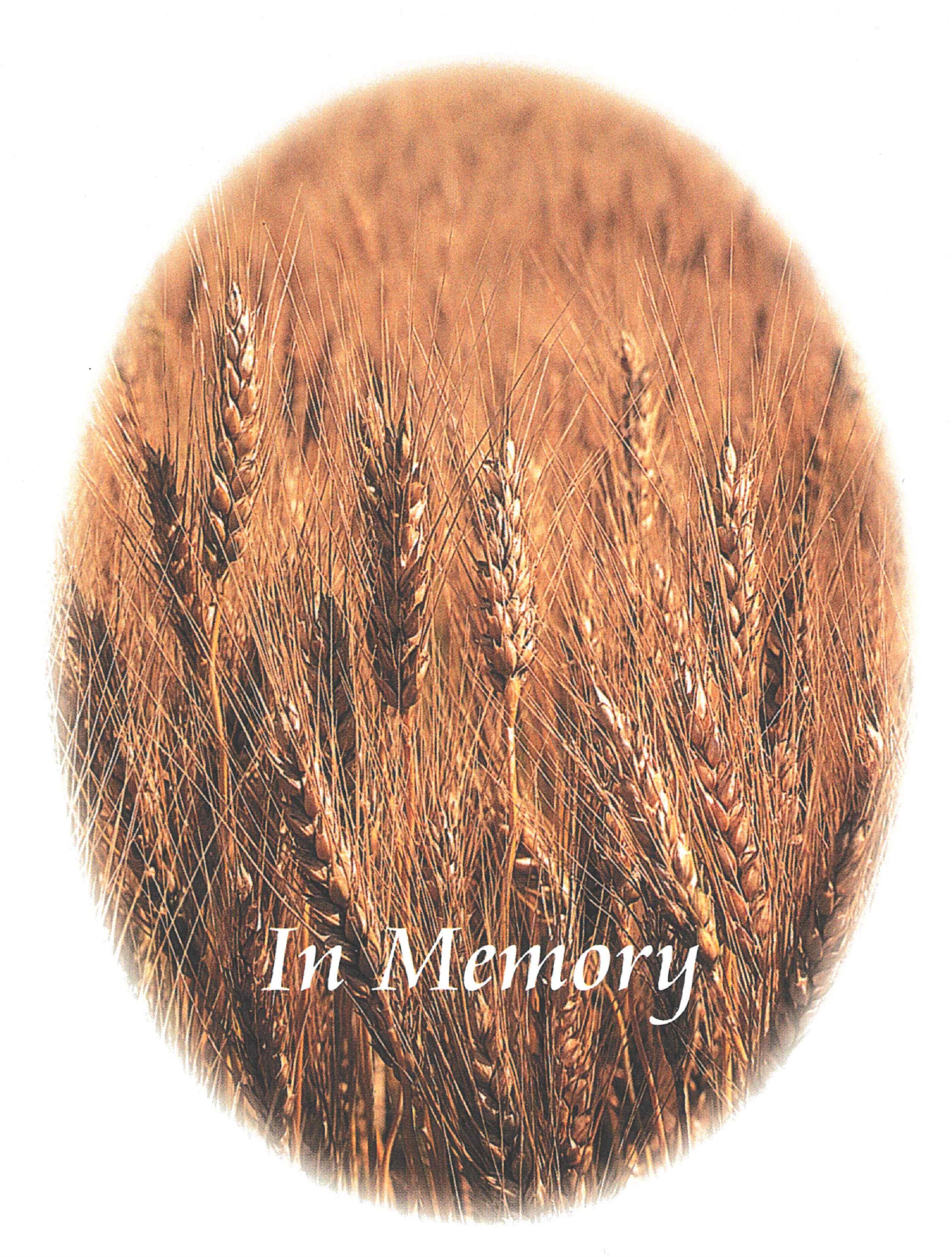 Obituary | Brian L. Larson of Lisbon, North Dakota | DAHLSTROM FUNERAL HOME